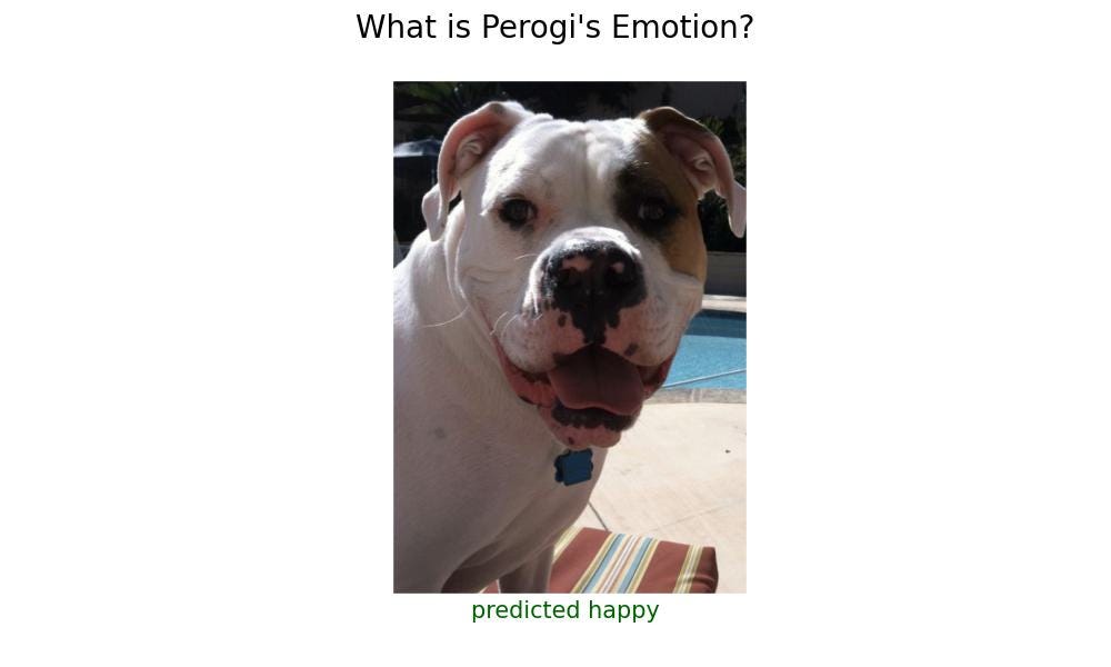 CNN model with TensorFlow to predict dog emotions | Medium