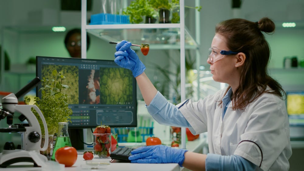 Safeguarding the Palate- Deep Dive into Food Safety Testing Market | by ...