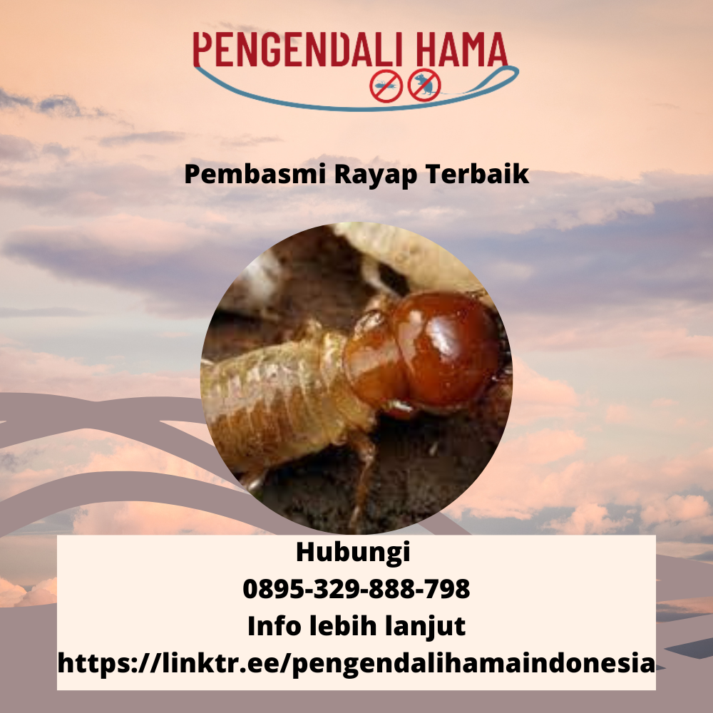 Pembasmi Rayap Terbaik - Rekomendasipembasmirayap - Medium