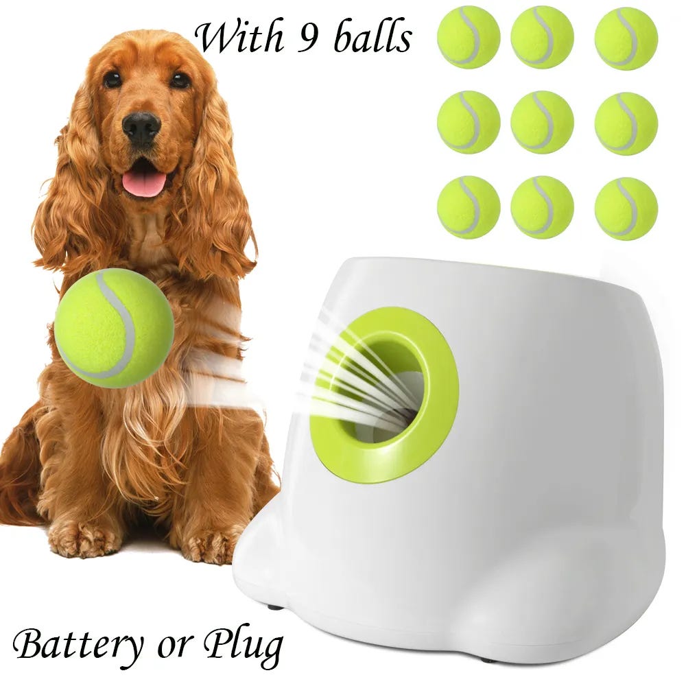 Unlock a world of pet possibilities. let your pet revel in the marvels ...