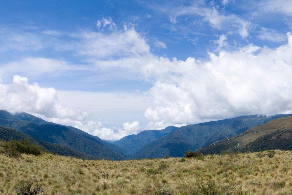 Experience the Magic of Manu National: A Journey Through Peru’s ...