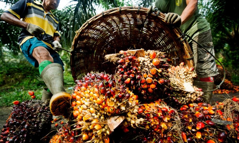 The Hypocrisy of the EU in the Palm Oil discourse: an ASEAN perspective. | by fara maruf | Medium