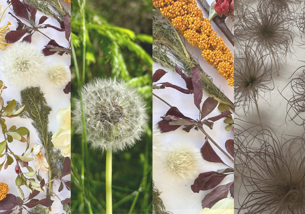How Flowers Choose Themselves: A Botanical Composition in Resin | by ...