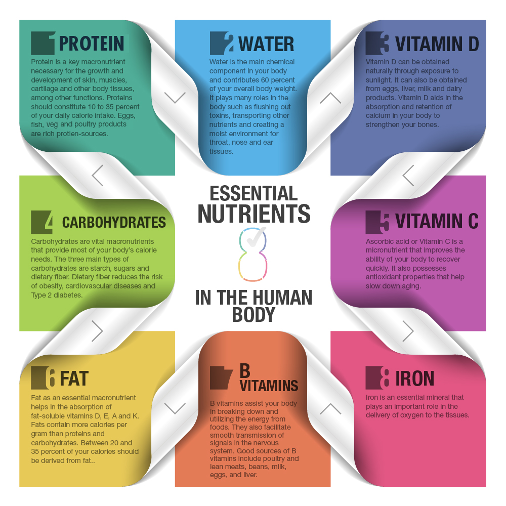Essential nutrients in human body | by Organicveda | Medium