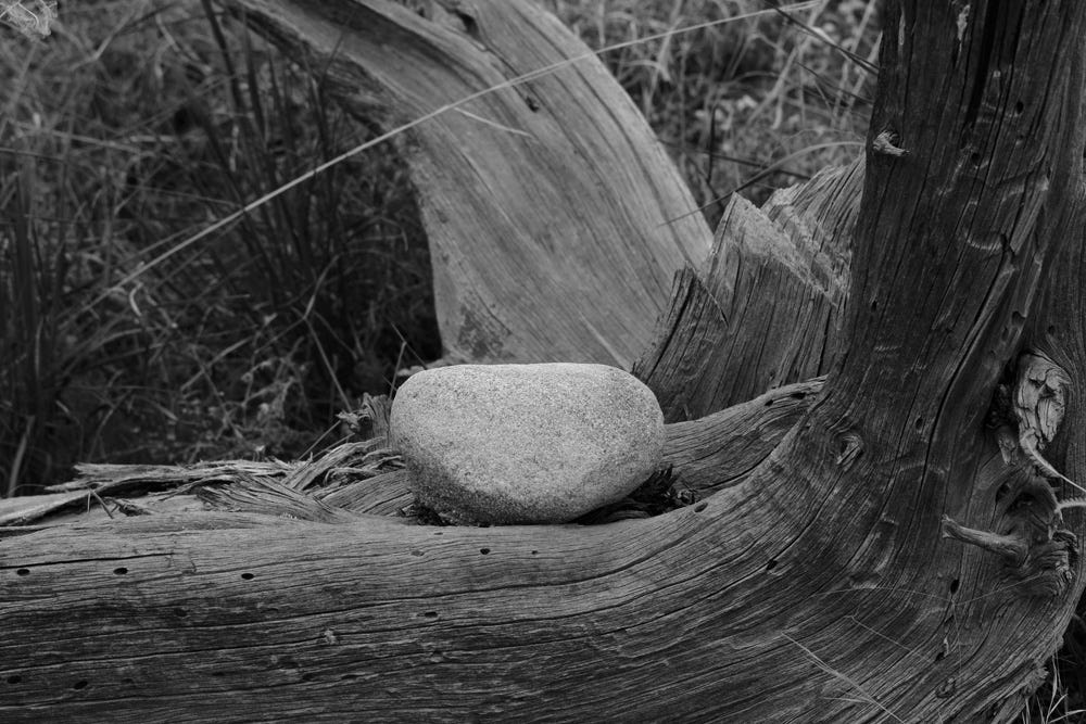 Is Everything Consciousness?. Ask a Rock. | by Todd Zen | Bright Zen ...