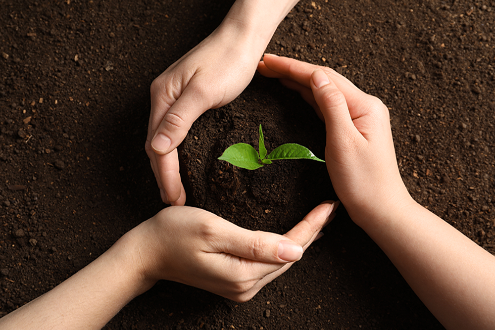 Embracing Inter-Generational Responsibility, What We Can Do Towards a ...
