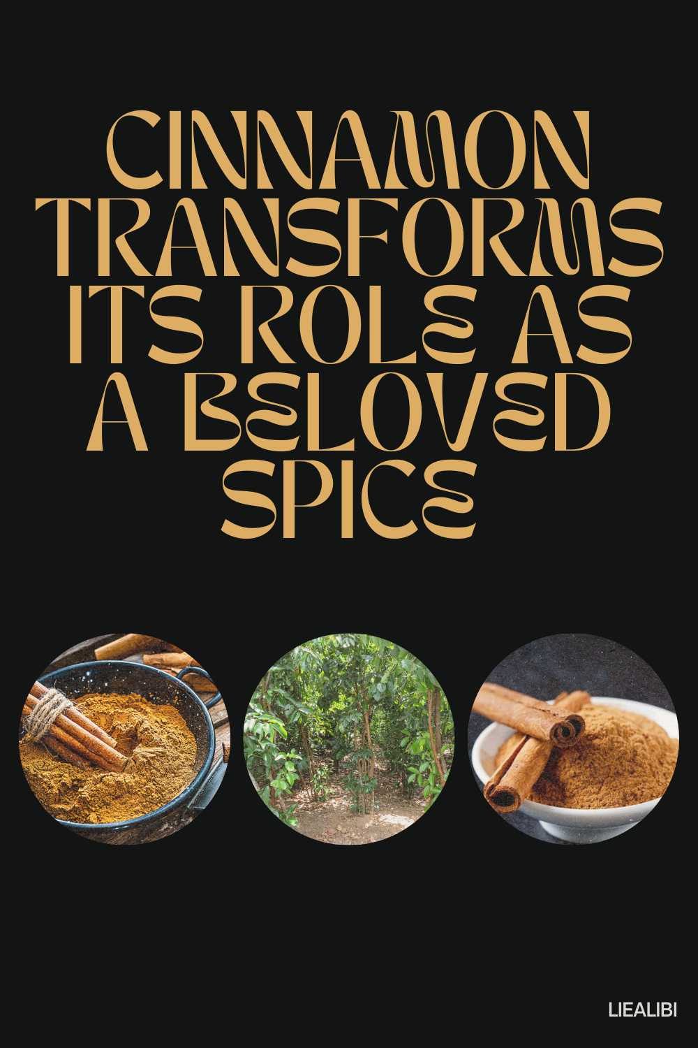 Cinnamon Transforms Its Role as a Beloved Spice | by LIEALIBI | Medium