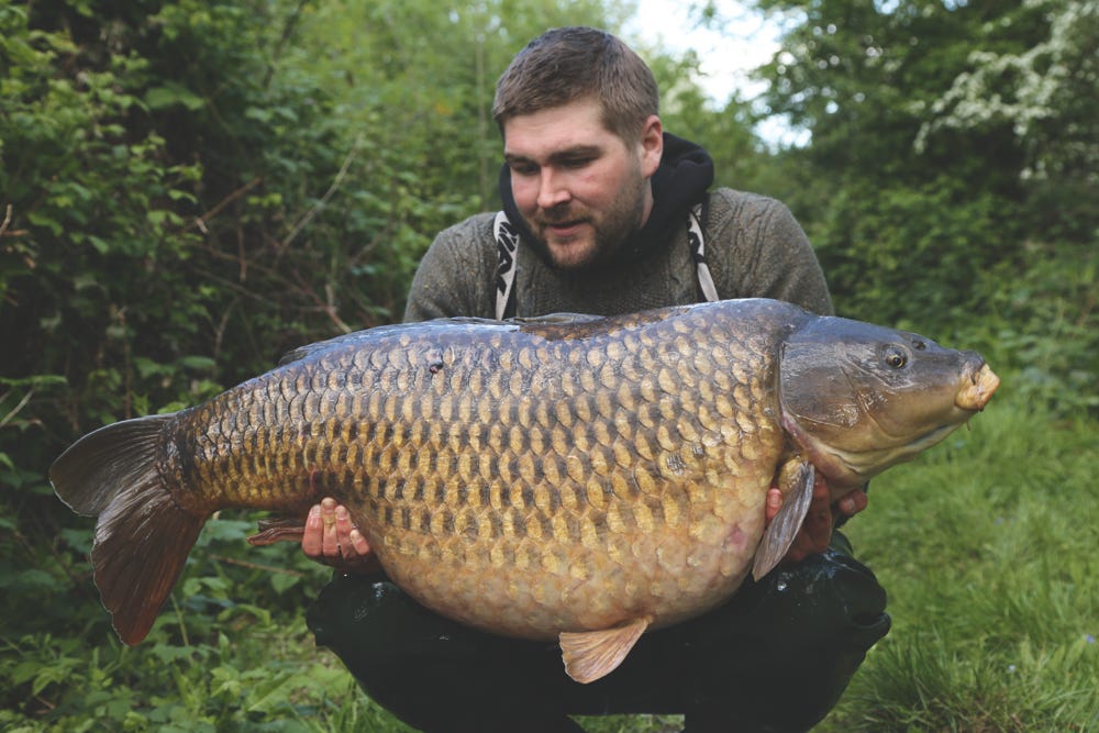 Casting Advice for Catching More Carp | by Thomas Finke | Medium
