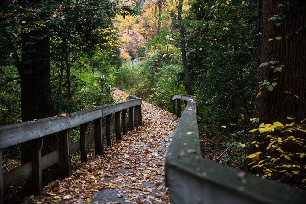 Must-See Places to Go To in Sewell, New Jersey | by Mighty Dog Roofing ...
