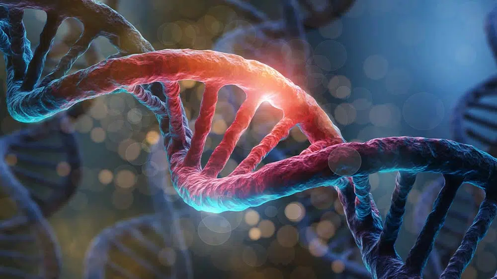 20 years of Human Genome Project. The Human Genome Project (HGP) was an ...