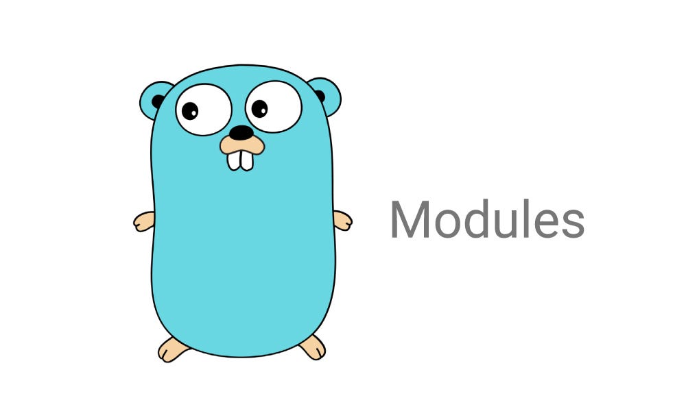 Penggunaan Go Modules pada Golang | by Fachrizal Rifahdi | Medium