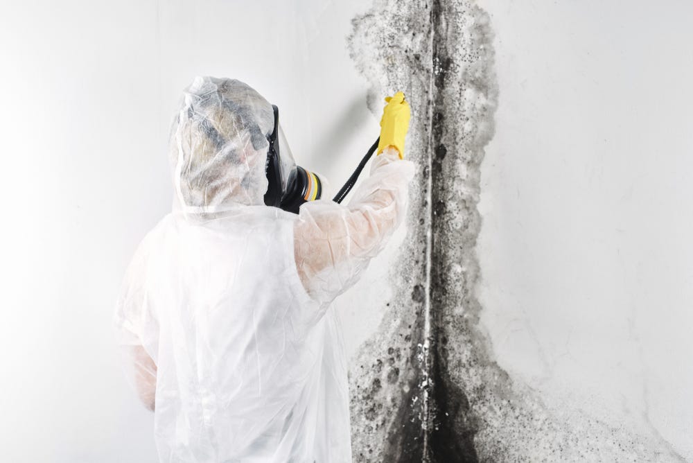 6 Tips To Remove Mold In Your Home | by ezrestorationusa | Medium