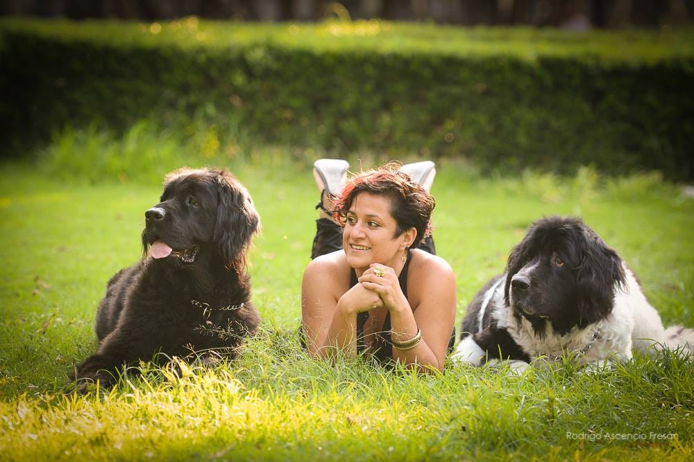 Las mejores fotos con tu perro, en Happy Can Camp | by HAPPY CAN CAMP ...