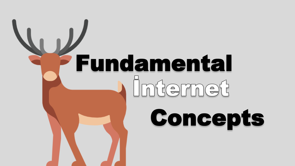 Fundamental Internet Concepts. You can access the original article… | by Onur Dayıbaşı ...