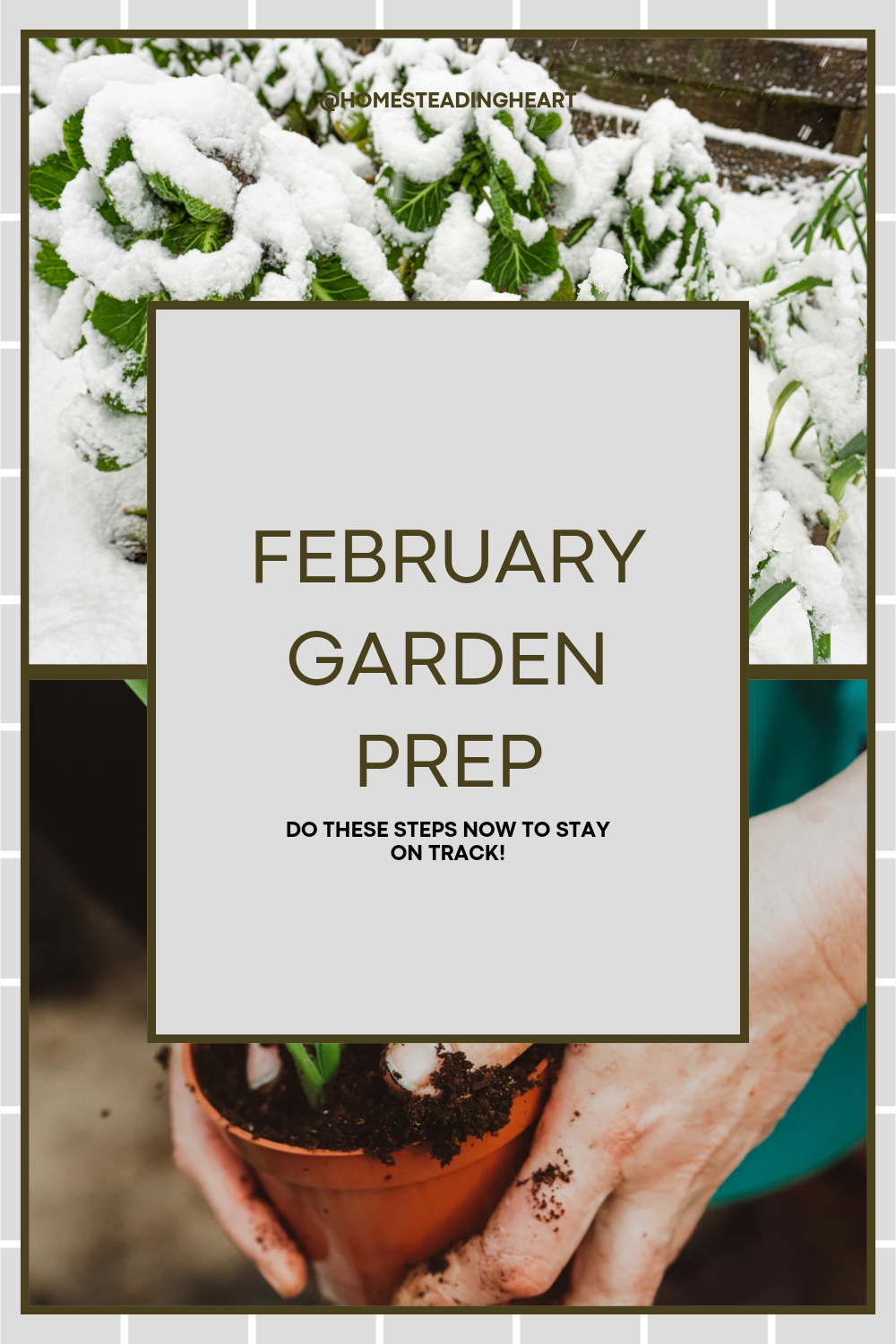 February Gardening: A Homesteader’s Guide to Spring Preparation | by ...