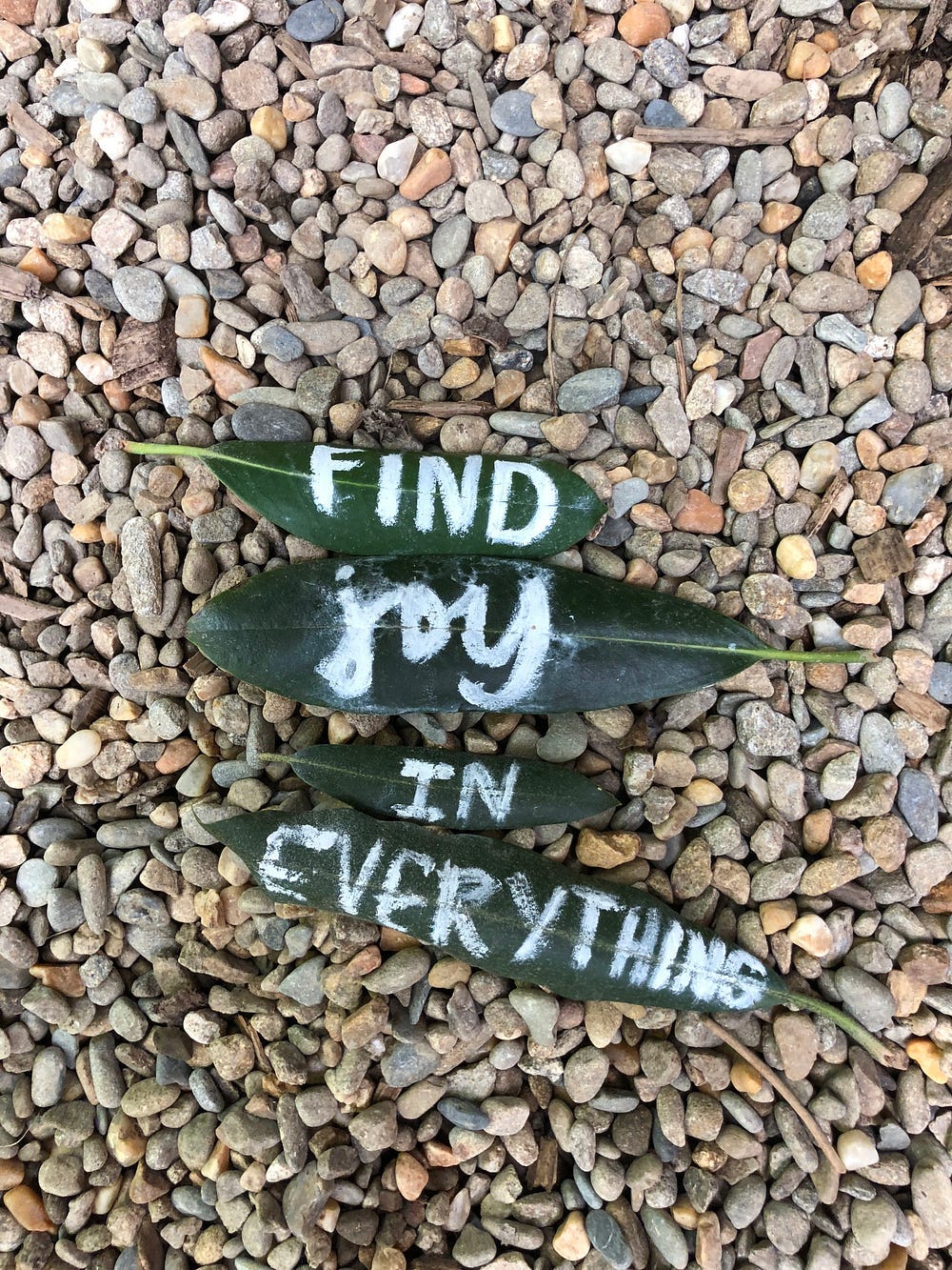 Embracing Happiness: A Journey towards a Joyful Life… | by ...