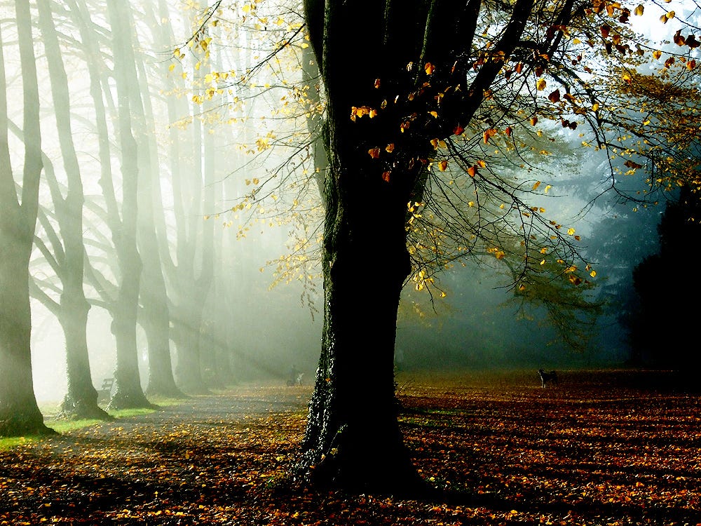 Node.js, The Bad Parts. The bad parts of this fast-growing… | by Iván ...