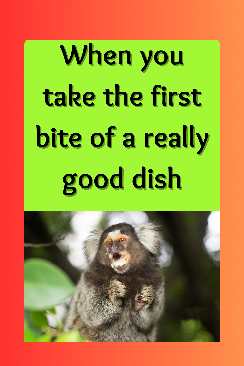 Food Memes, Good Dish - Monu The Cat - Medium