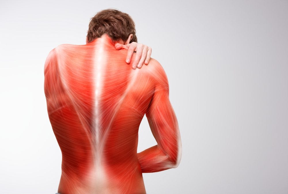 How to Cure Body & Muscle Pain: Complete Guide | by TheTankar | Medium