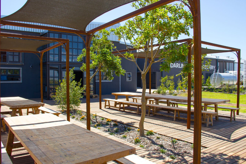 A closer look at Darling Brew’s Blood Serpent. Africa’s First Carbon ...