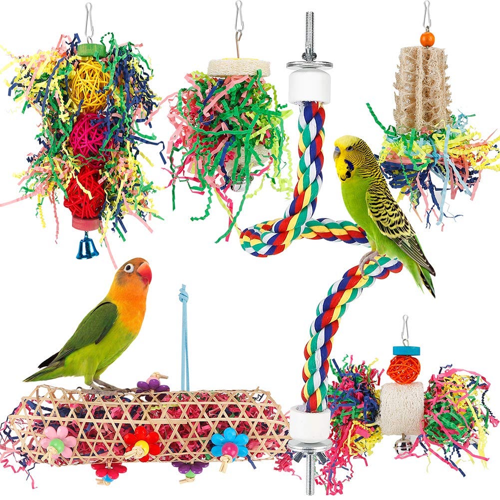 5 Best Bird Toys for Your Feathered Friends in 2024 | by Heartsofpets ...