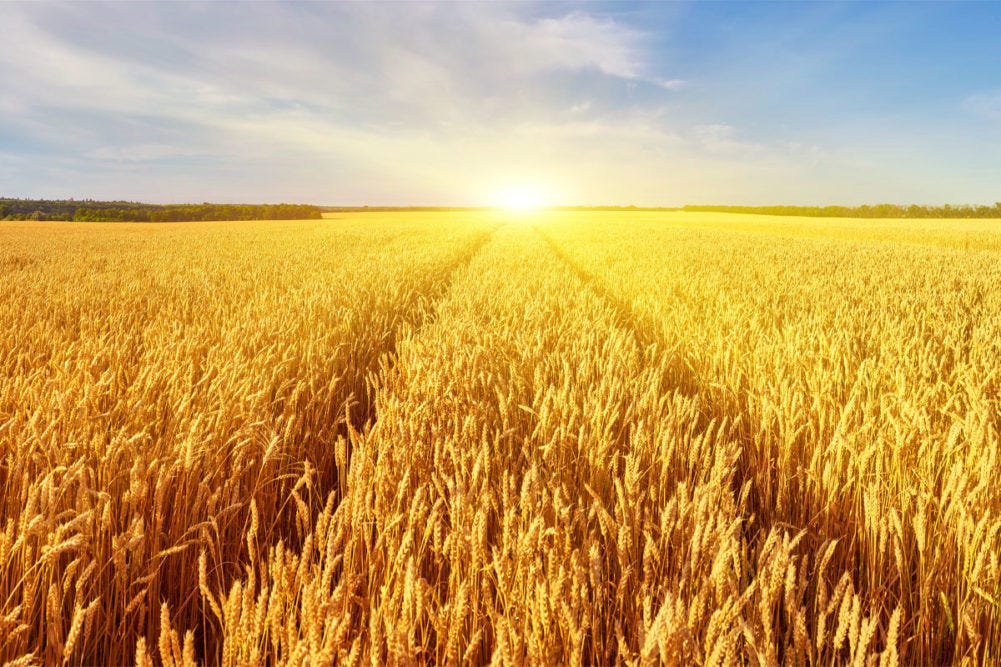 Discipline. What is it?. God’s Word tells us that all discipline… | by ...