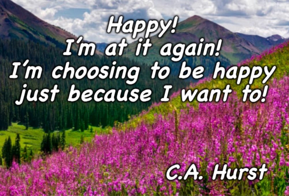 Happy! - C. A. Hurst - Medium
