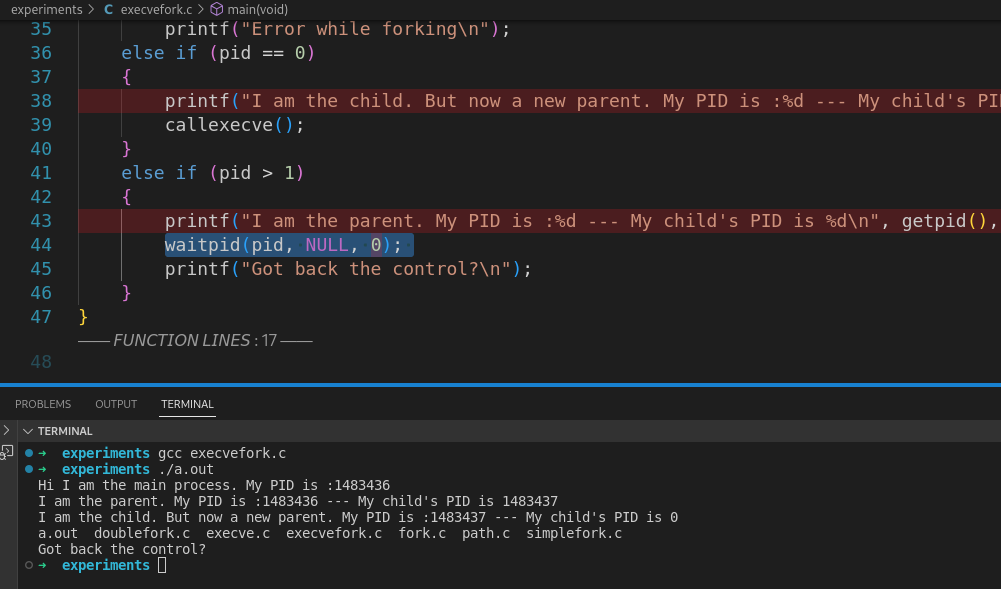 Pipex 42 — Chapter 3: Mastering execve() using fork() | by LAnnur-S ...