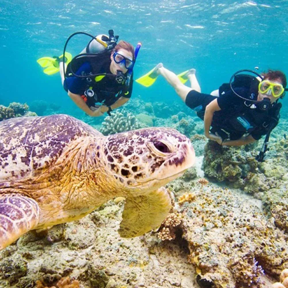 Corn Island: A scuba diving destination. | by Kellian Villarreal | Oct ...