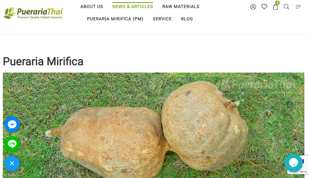 pueraria mirifica. The belief in the rejuvenating… | by ...