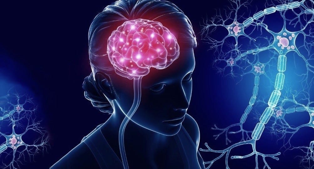 How the Brain Accelerates Aging of the Body: A Simple Way to Slow Down ...