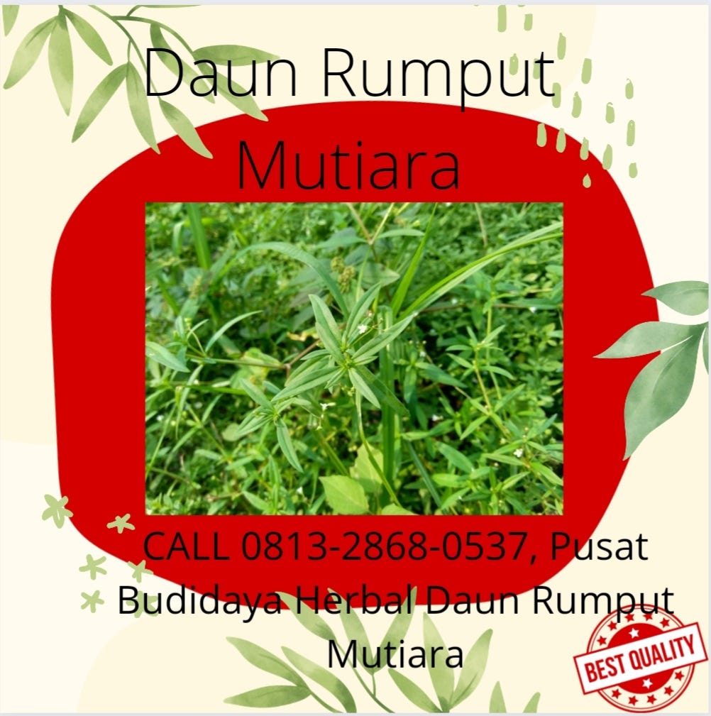 Daun 2 | by Produsen Rak bunga cikarang barat | Medium