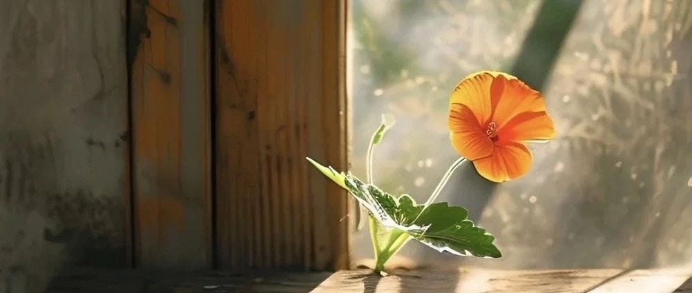 Live up to the present and look forward to the future | by Lilyana ...