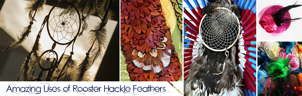 Some Exciting Uses of Saddle Hackle Feathers You Should Know | by ...
