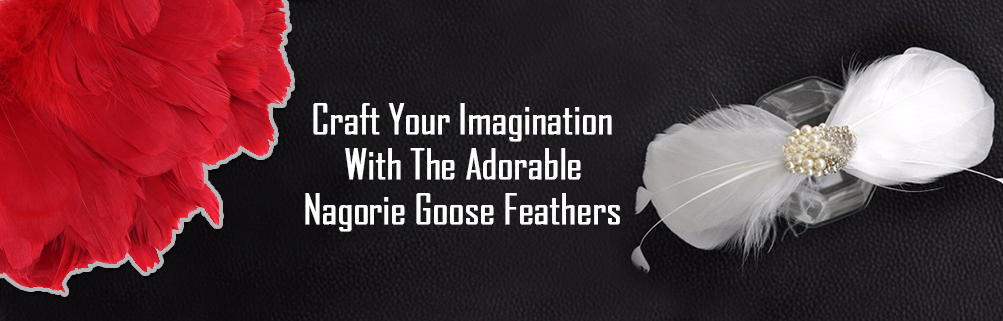 Craft Your Imagination With The Adorable Nagorie Goose Feathers | by ...