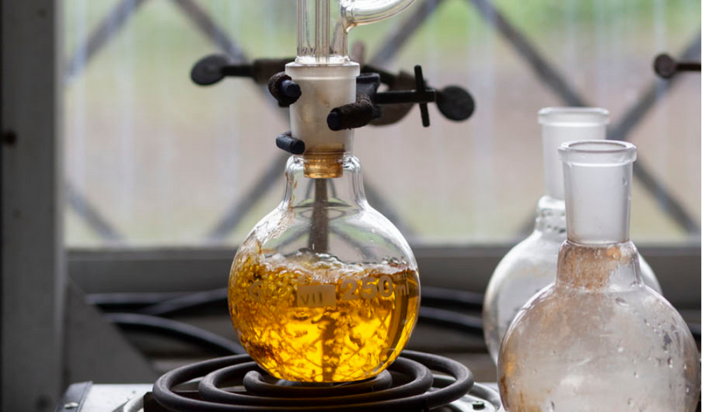 Next Gen Palm Oil. This summer Unilever announced the… | by Monique van ...