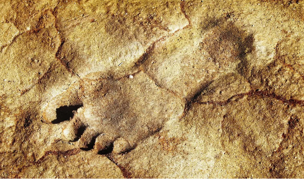 115,000-year-old human footprints found in a location where they should ...