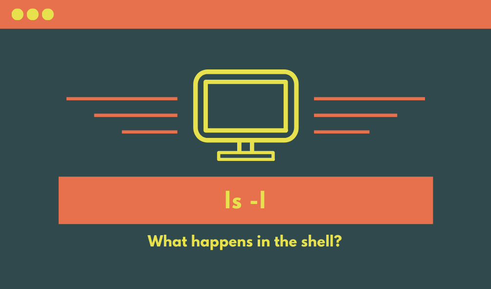 What happens when you type ls -l in the shell | by Kevin Apostol | Medium