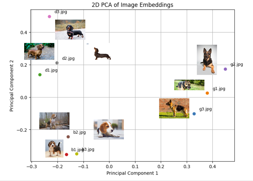 Understanding Embeddings in Image Analysis | by Uday Chitragar | Medium