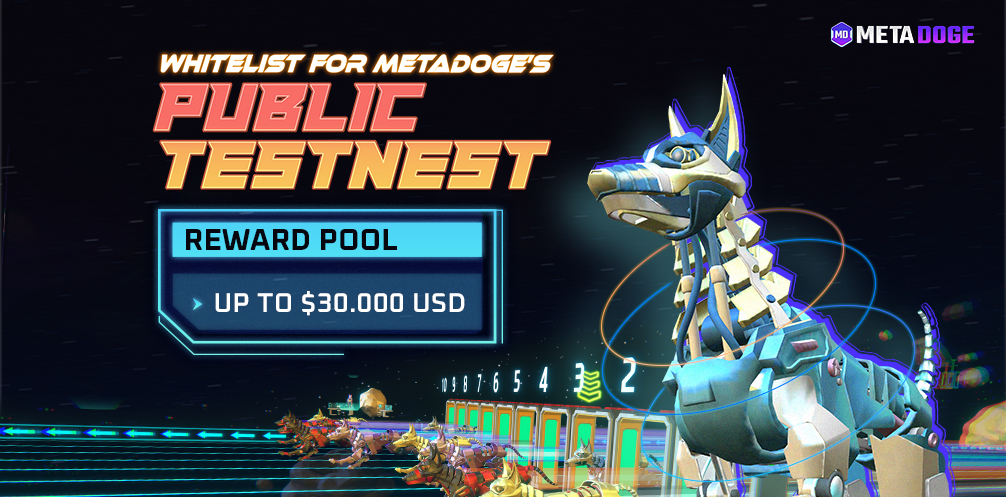 Meta Doge Public Testnet Championship | by Meta Doge BSC | MetaDogeBSC ...