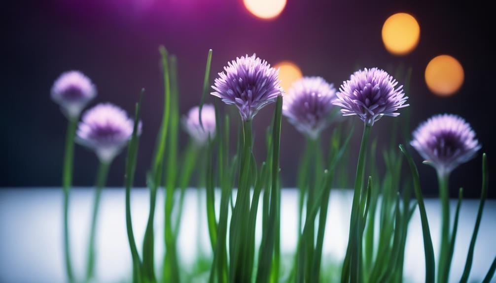 LED Lights: The Key to Thriving Chives Growth | by Michael Toback | Medium