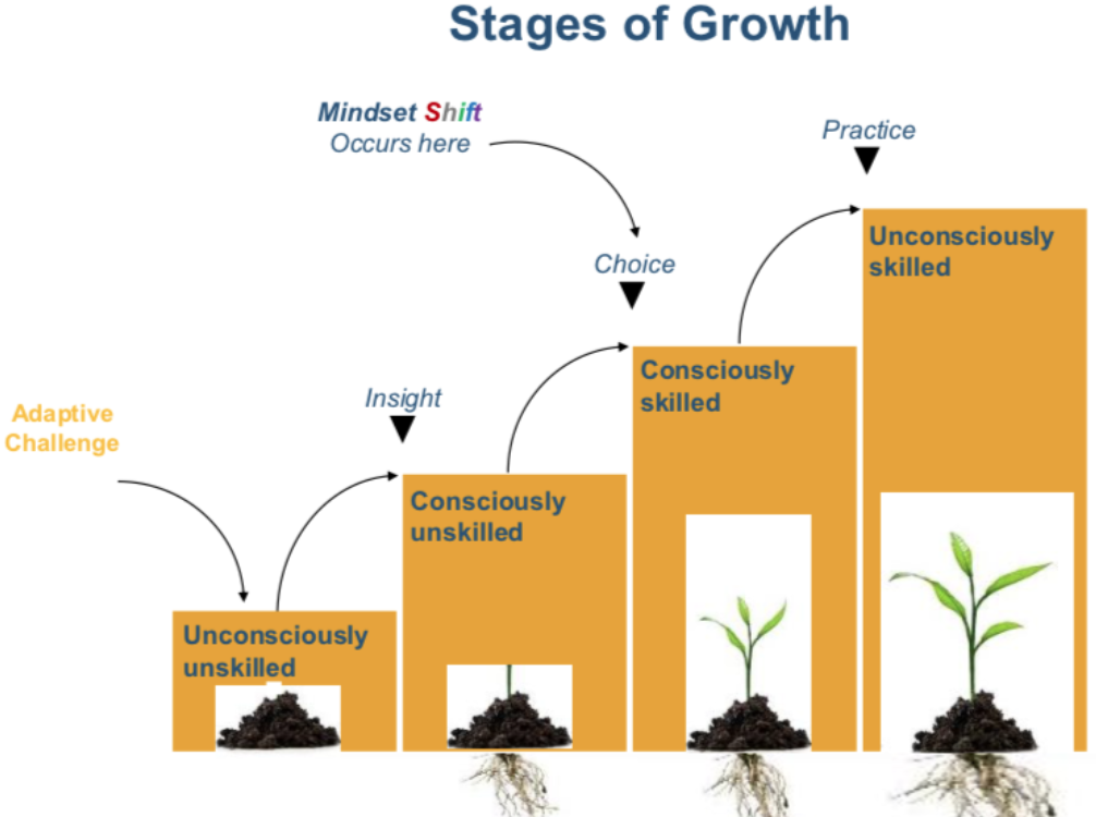 The 4 Stages of growth. This is a prelude article to a… | by Jordan ...