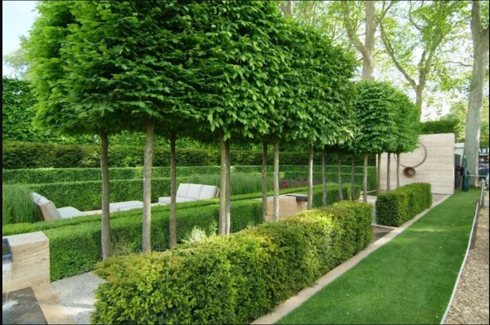 Landscapers Sutherland Shire - Abante Built - Medium