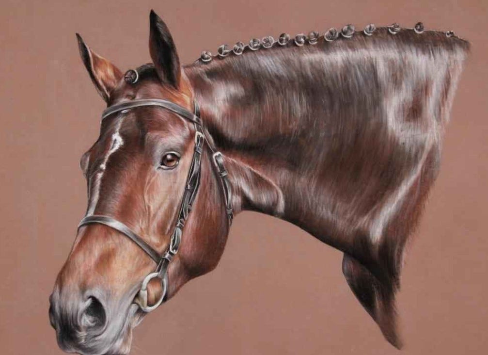 Creating Masterpieces with Colored Pencil Pet Portraits | by Evelyn ...