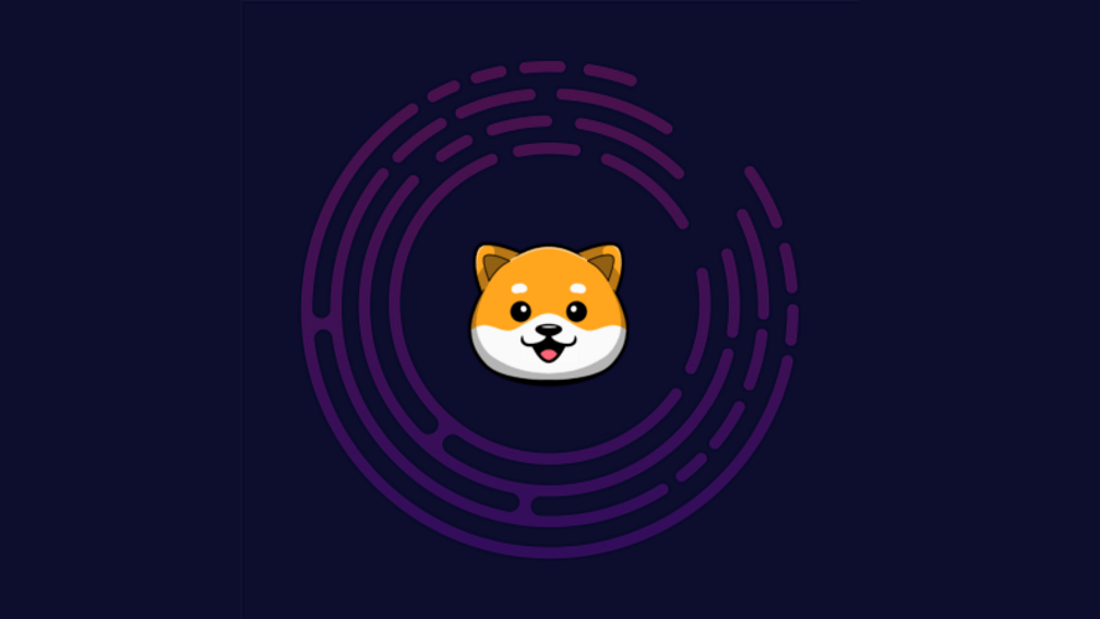 How to Buy Shiba Rewards Coin ($SHREW) — Beginner’s Guide | by ...