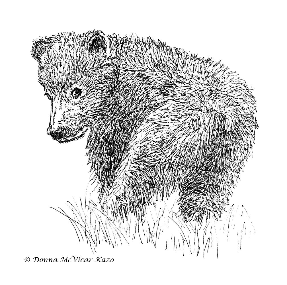 “Bashful Bear Cub” ink drawing. Day 71 of my artwork retrospective | by ...