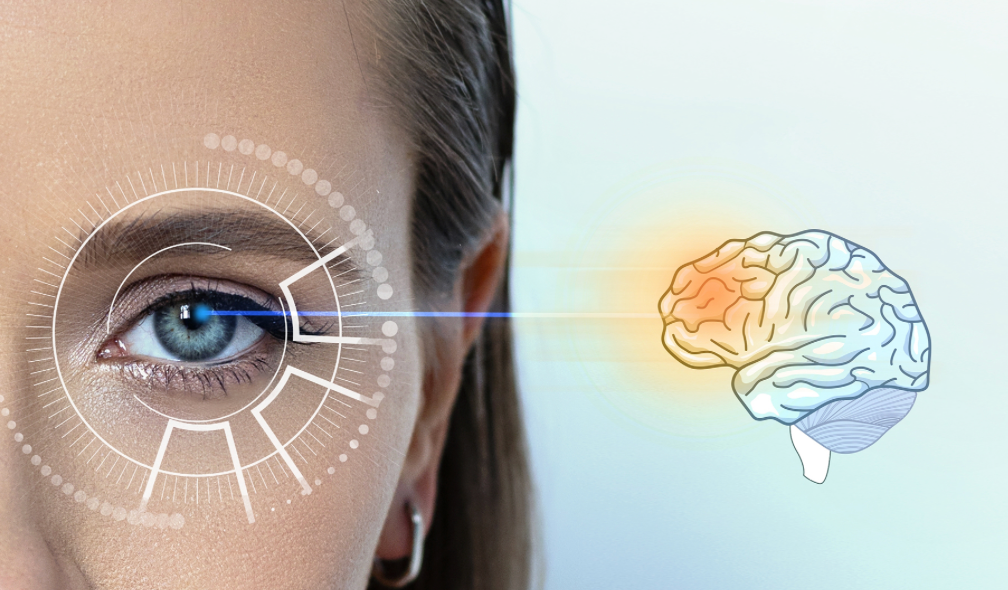 Visual Attention and UX: What Eye Movements Reveal About User ...