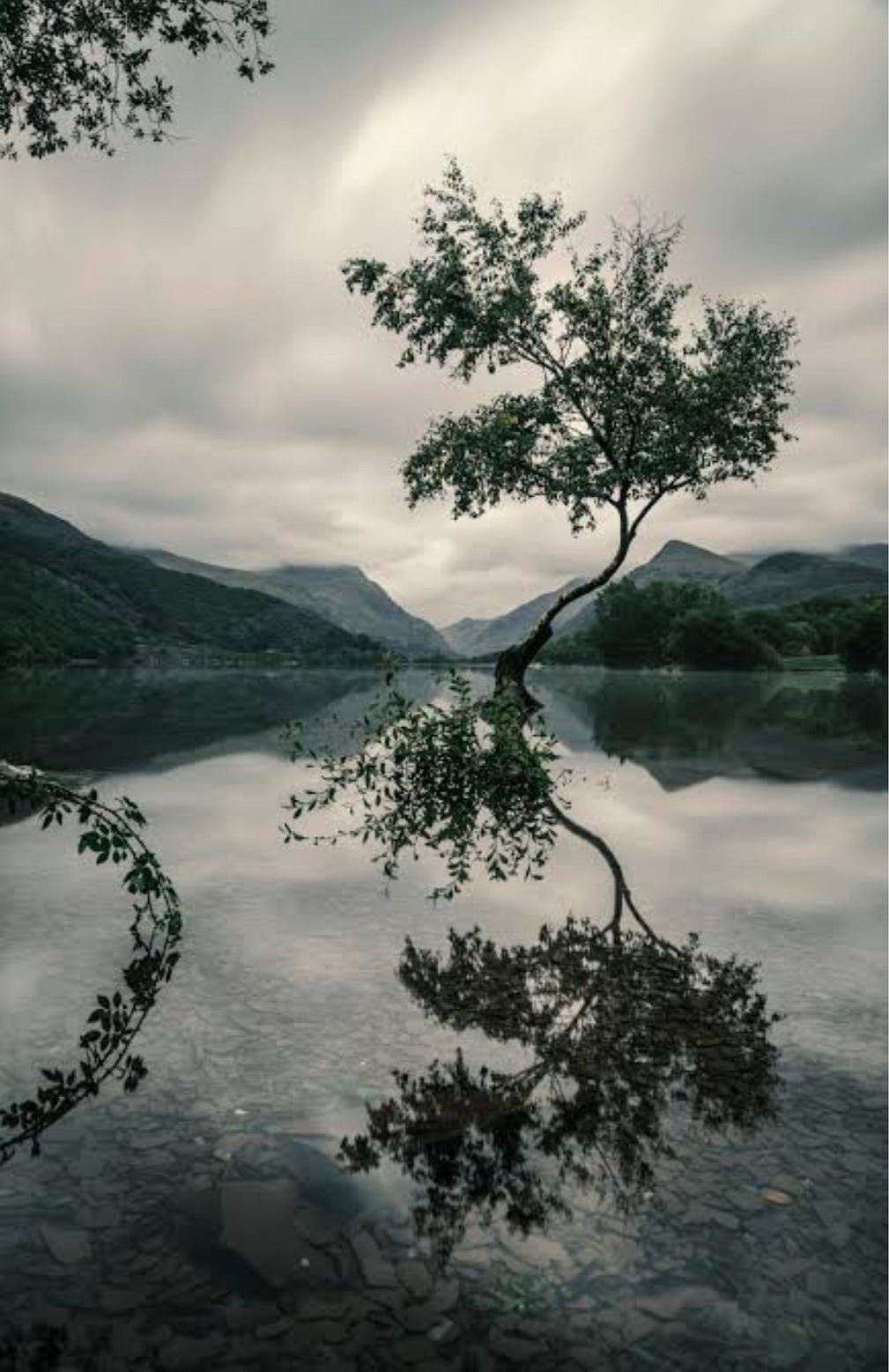 If you feel misaligned, just move. - mrinal pandey - Medium