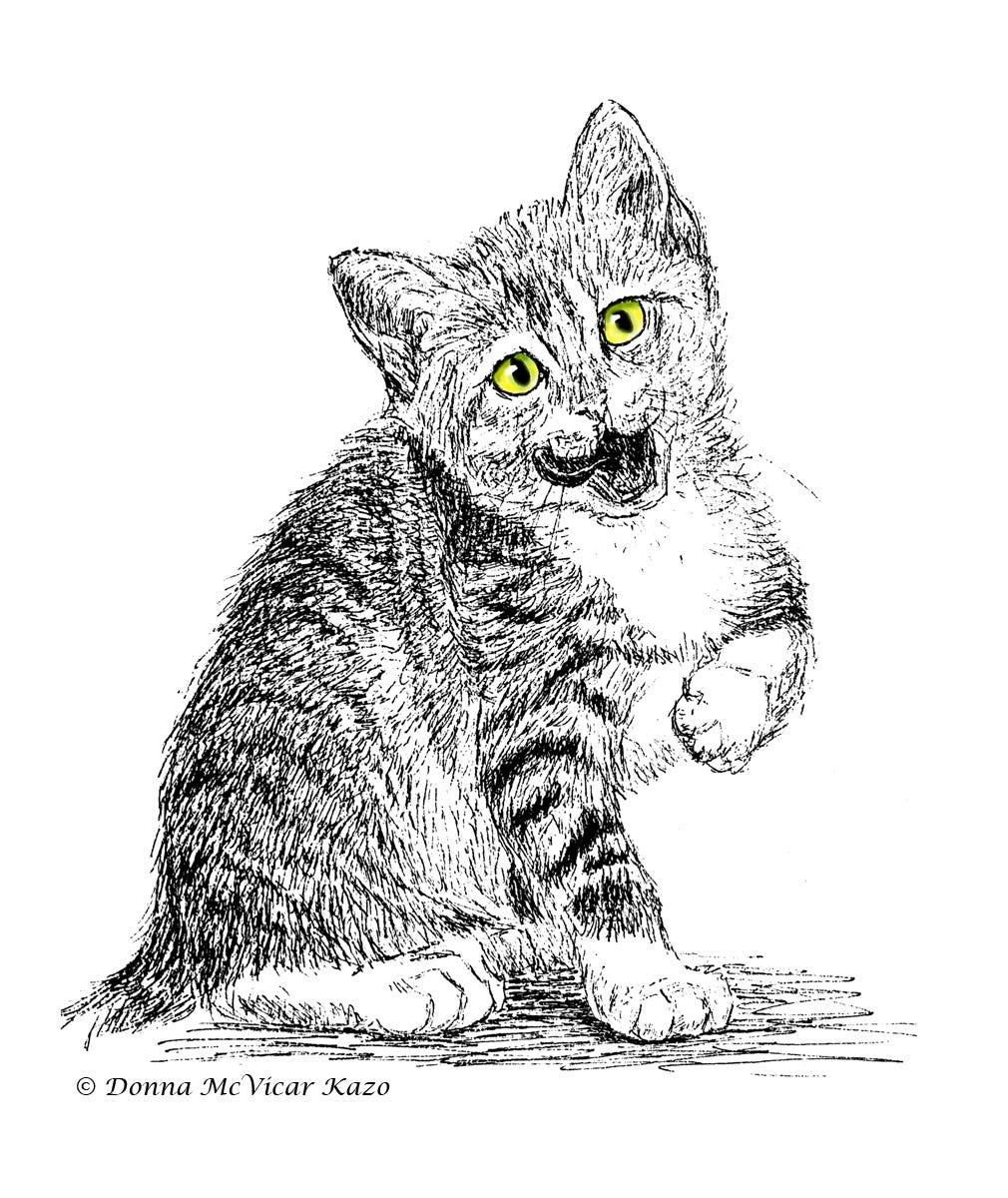 “Kitten Learning to Wash” Ink Drawing | by DonnaKazo | Medium